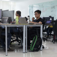 Careers in Software Engineering