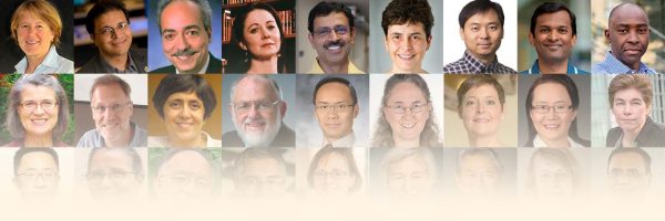 IEEE Computer Society Awards and Fellows